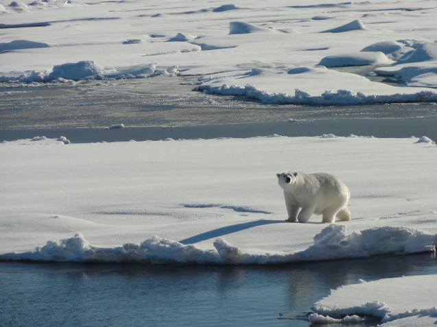 Arctic melt ponds get media spotlight as Laptev Sea ice hits an 11 year ...
