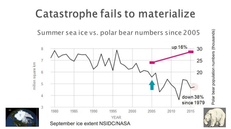 Global polar bear population size is about 28,500 when updates are ...