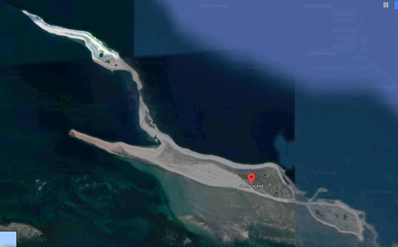 New information on the fatal polar bear attack at Arviat, Western ...