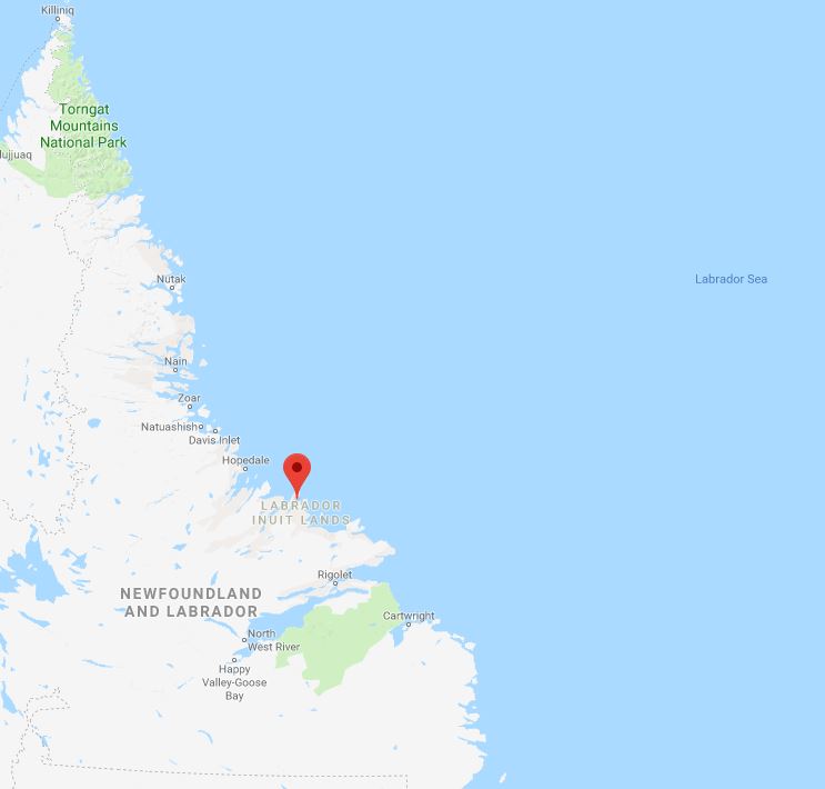 Two polar bears onshore in coastal Labrador, one relocated for public ...