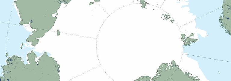 Polar bear habitat update: abundant sea ice across the Arctic, even in ...