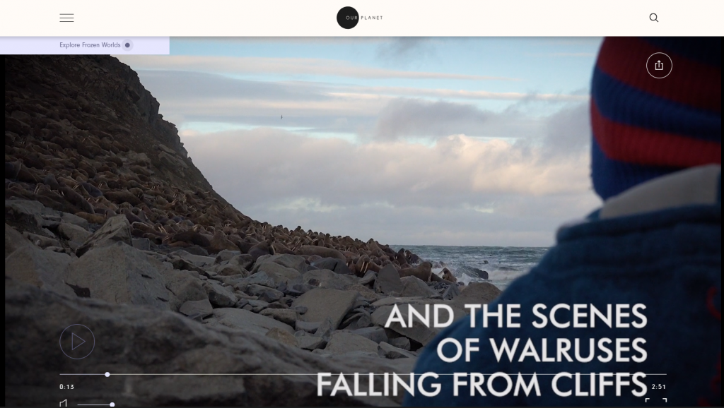 ‘Our Planet’ film crew is still lying about walrus cliff deaths: here’s ...
