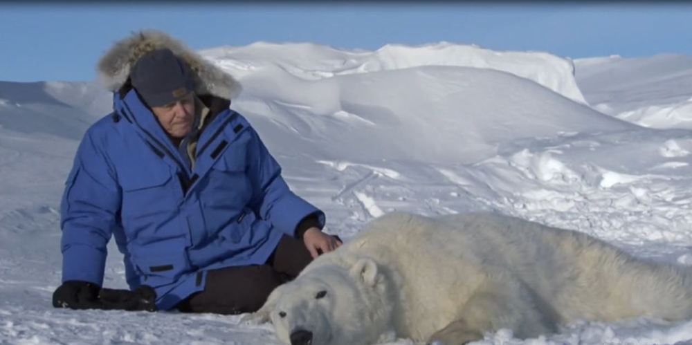 Biologists allowed David Attenborough to tell BBC viewers that Barents ...