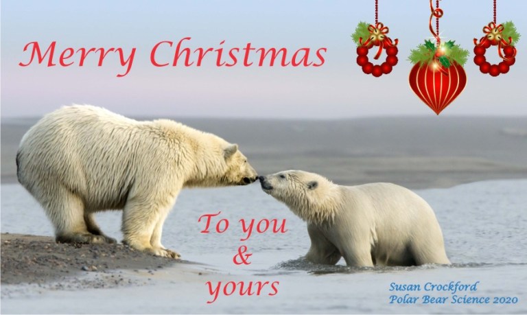 polarbearscience | Polar bear science – past and present | Page 27