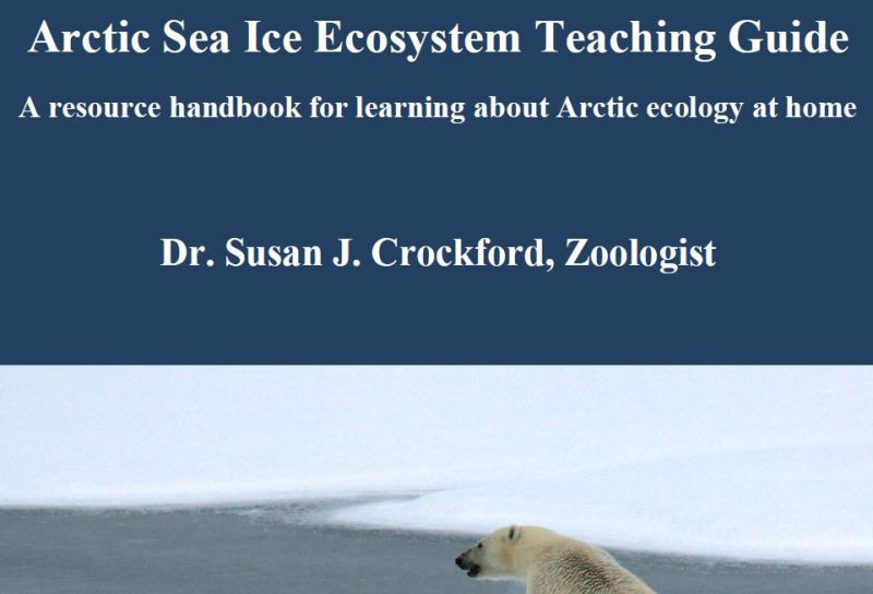 arctic-sea-ice-ecosystem-teaching-guide-cover-smaller-thumbnail-1 ...