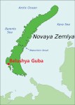 Remembering the terrorizing Belushya Guba polar bears: lots of Barents ...