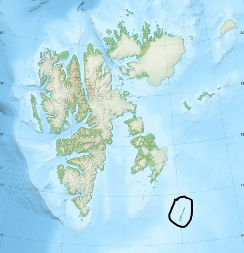 New data show Svalbard polar bears are fatter than they were in 1993 ...
