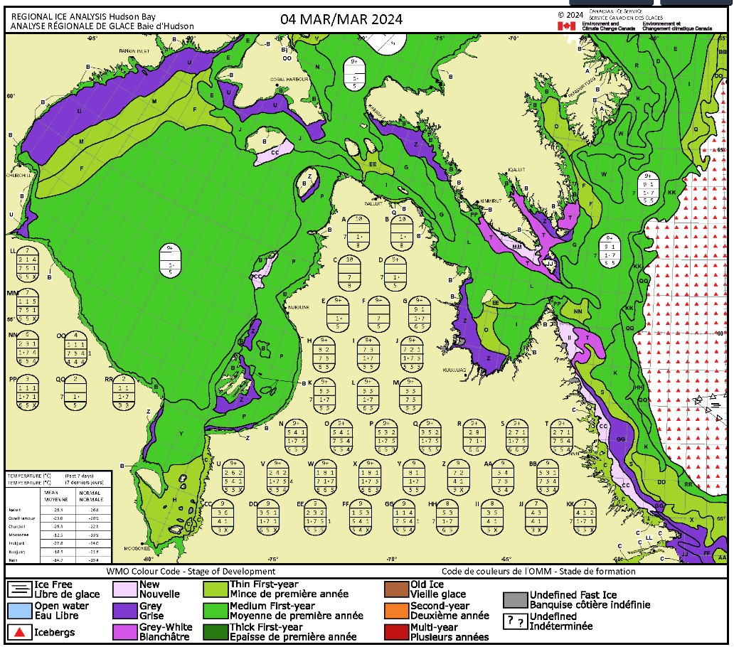 Hudson Bay polar bears now considered most likely to survive future sea ...