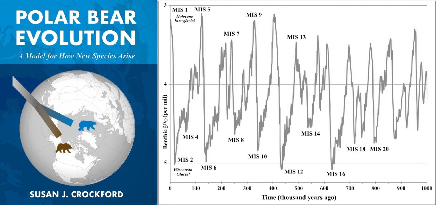 polarbearscience | Polar bear science – past and present | Page 7